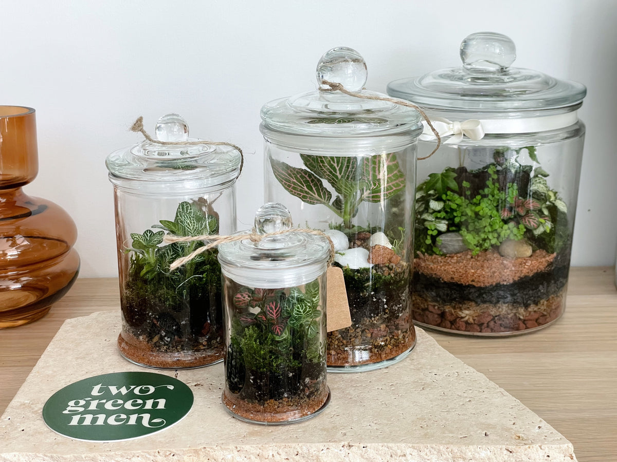 Enclosed Terrariums – Two Green Men