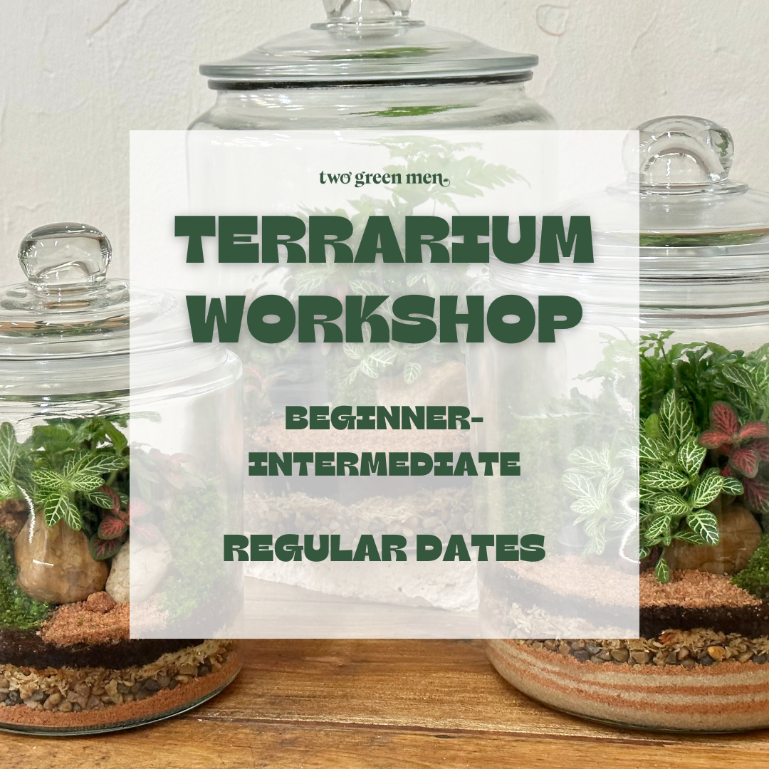 Terrarium Workshop // BEGINNER-INTERMEDIATE – Two Green Men