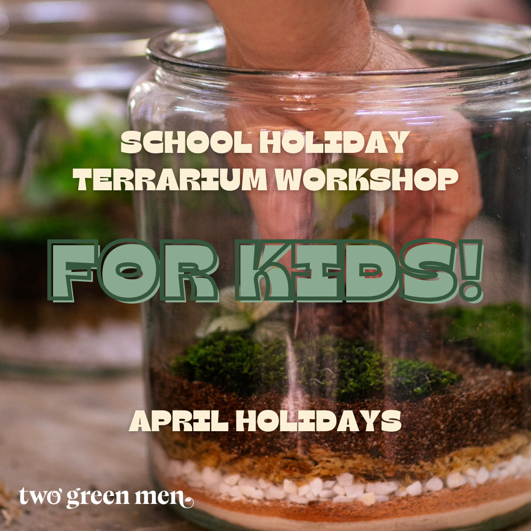 KIDS' TERRARIUM WORKSHOP // PERTH SCHOOL HOLIDAYS // BEGINNER-FRIENDLY ...
