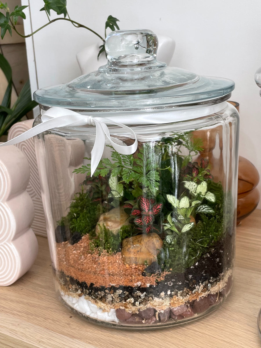 PEDRO | Enclosed Glass Terrarium – Two Green Men